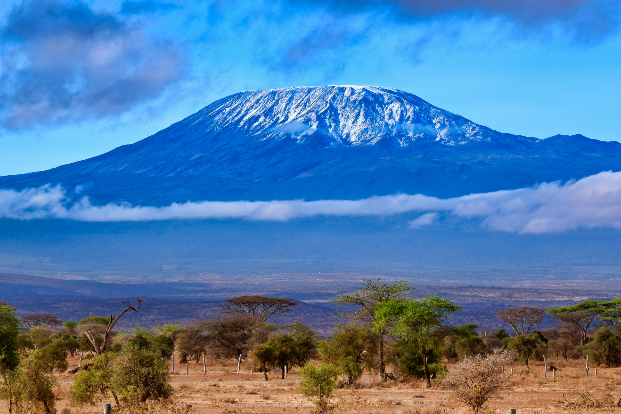 Kenya – Flight for Survival